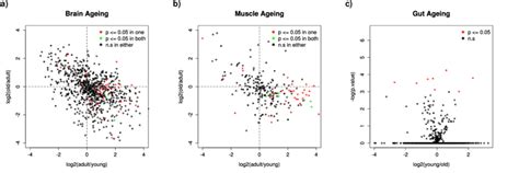 A And B CircRNA Expression During Ageing In Brain And Muscle CircRNA Download Scientific