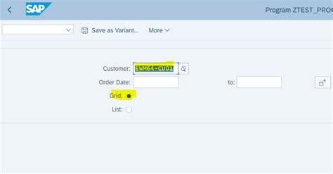 SAPNewbee ALV Report With Grid View And List View