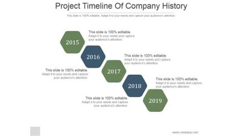 Project Timeline Of Company History Ppt Powerpoint Presentation Rules