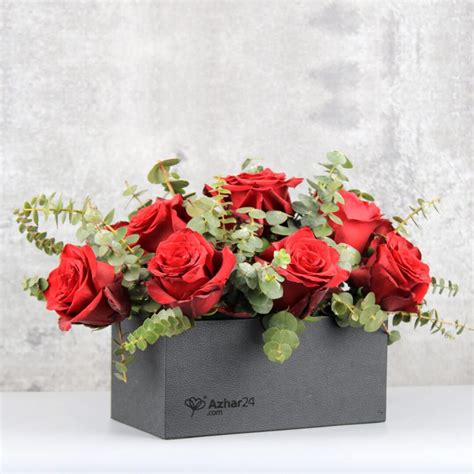 Upper Class S Azhar24