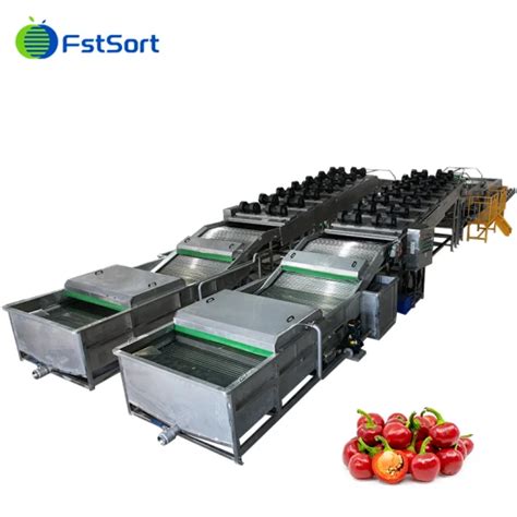 Efficient Chili Pepper Washer Sorter Size Grading Machine Advanced