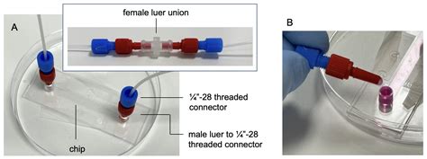 Microfluidic Cell Perfusion With A Syringe Pump Microfluidics Innovation Center