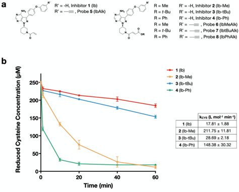 Design And Initial Cysteine Reactivity Assessment Of Fumarate Based Download Scientific Diagram