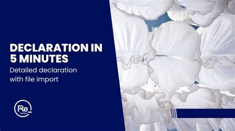 File Your Declaration Refashion Pro