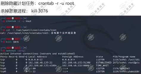 网络安全学习（ing） csdn博客