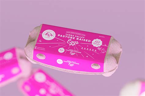 Egg Carton Packaging Design Freelance Graphic Designer