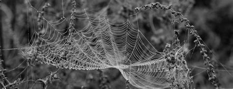 Debugging Ios Simulator Network Calls For Free By Tomek Cejner