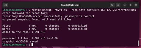 Restic Backup And Restore Data On Linux With Examples