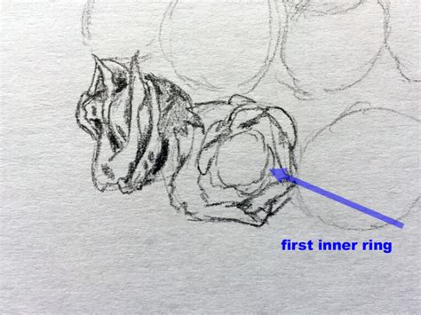 How To Draw A Bouquet Of Flowers Let S Draw Today