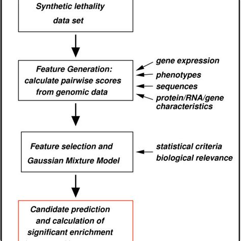 Workflow Chart Of Mixture Modeling Approach The Figure Depicts A Download Scientific Diagram