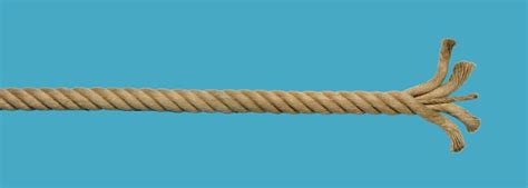 What Is Alternative Splicing And Why Is It Important