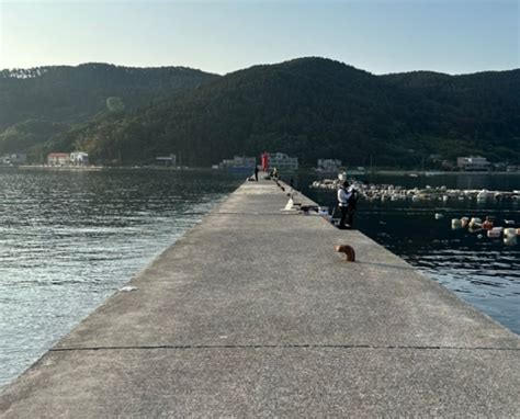 거제도 바다낚시 지세포선창방파제 생활낚시 포인트 및 계절별 대상 어종 정리