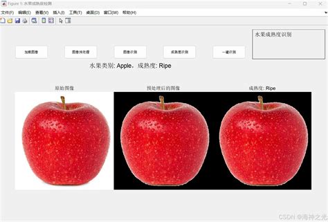 【水果识别】基于matlab gui svm水果成熟检测系统（含苹果 香蕉 橙子）【含matlab源码 11052期】含报告 csdn博客