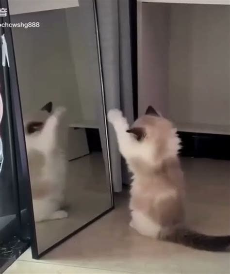 혼자서 뭐하는거임 귀염 뿜뿜 Youtube