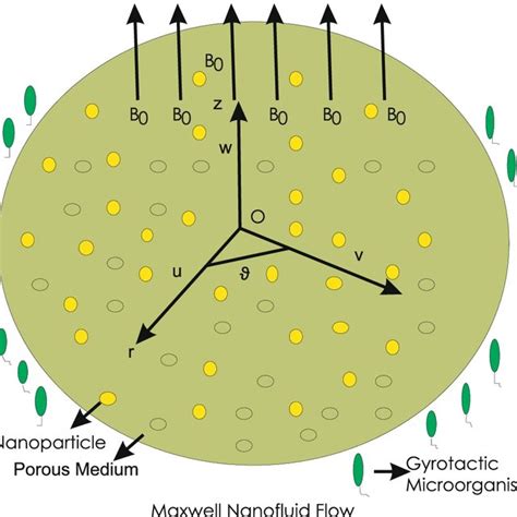 Physical Configuration Of The Problem Download Scientific Diagram