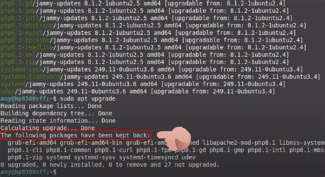 The Following Packages Have Been Kept Back Linux Error