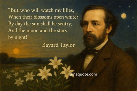 14 Lily Flower Quotes For Peace Strength And Life Lessons