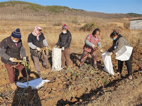 淄博市淄川区：深挖 硒游菌”推进乡村振兴步入 快车道” 哔哩哔哩