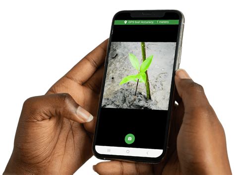 Tree Tracker App