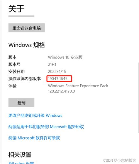 Windows 10专业版安装 Wsl2 Ubuntu 2004哪些电脑不支持wsl2 Csdn博客