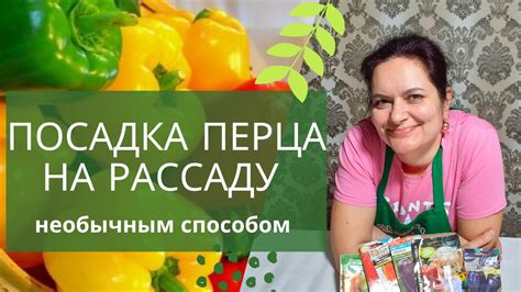 Посадка перца на рассаду необычным способом - YouTube