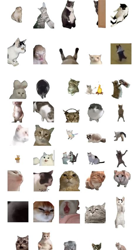 猫meme开表情包 抖音