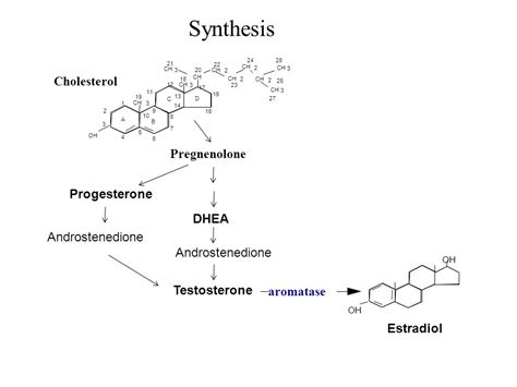 Схема тестостерона