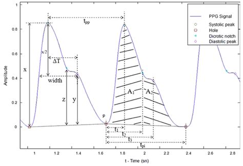 The Characteristic Features Of Ppg Signal In Time Domain Reşit Download Scientific Diagram