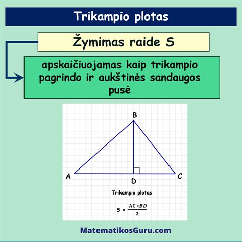 Stačiojo Trikampio Plotas Matematikos Guru