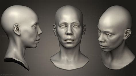 Female Reference For 3d Modeling
