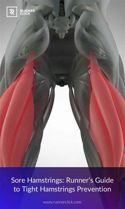 Sore Hamstrings Guide To Tight Hamstring Prevention Artofit