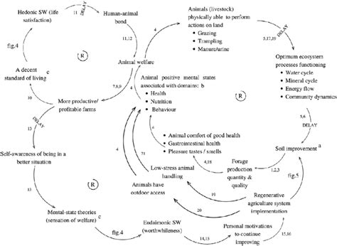 Causal Loop Diagram Of The Potential Causes Effects Of Implementing A Download Scientific