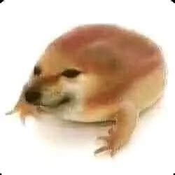 There Is A New Extremely Viral And Niche Doge Popping On Tiktok Right