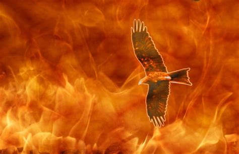 How To Install Firebird On Ubuntu 1804 Rfirebird