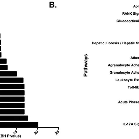 Functional And Pathway Enrichment Analysis Of Genes Significantly Download Scientific Diagram