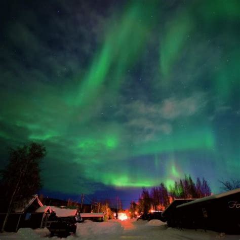How To Dehydrate Bread For Bread Crumbs With Dehydrator