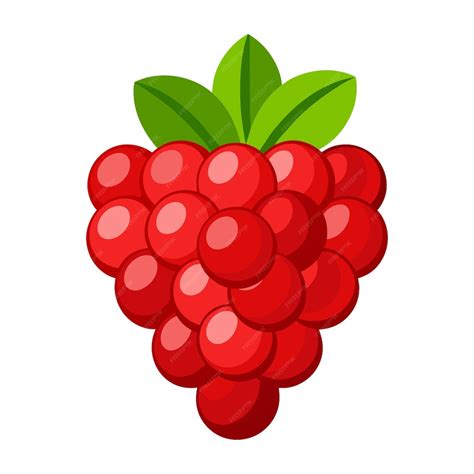 Frutas De Uvas Rojas Vector Premium