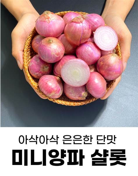 수작업 선별 미니양파 샬롯 양파 1kg 홈플러스 택배배송