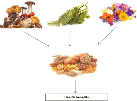 Algae Edible Flowers And Medicinal Mushrooms As A Perspective Source