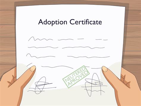 How To Tell If A Cat Is Neutered Or Spayed Things To Look For