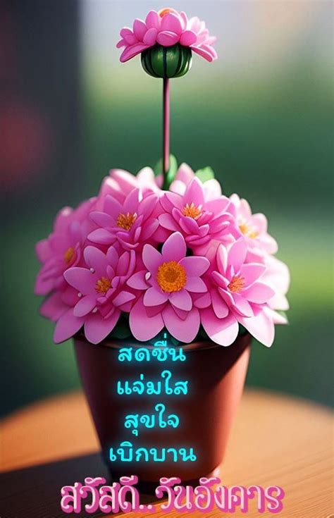 วันอังคาร ดอกไม้สีชมพู สวัสดีตอนเช้า อรุณสวัสดิ์
