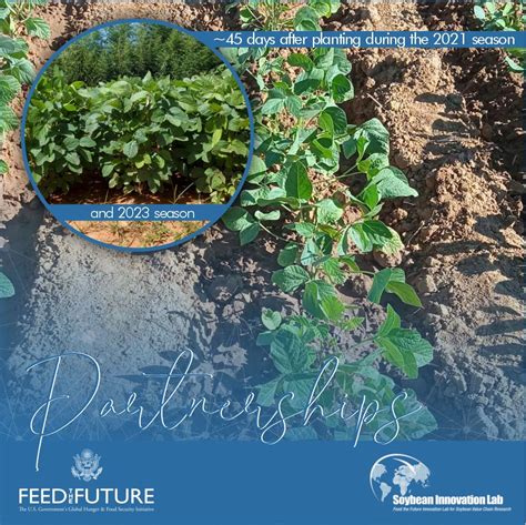 Ftfinnovationlabs Smartfarms Agronomics Partnership Soybean Cnfa