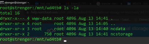 Not Able To Upload File To External Storage In Nextcloud 🚧