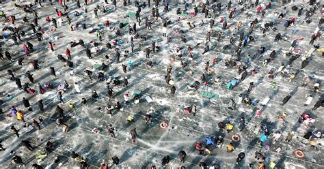 알록달록 얼음 위에 핀 사람 꽃