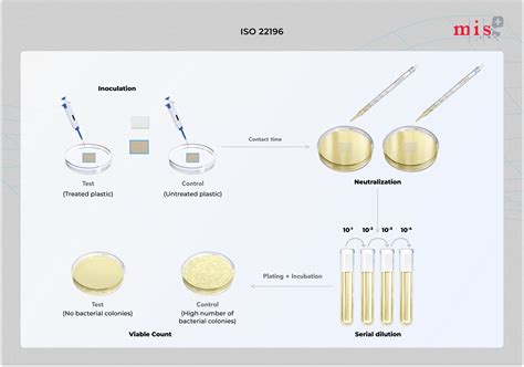 Iso 22196 Antibacterial Activity Testing Services