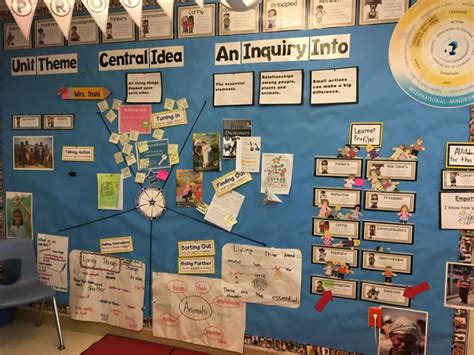 A Crucial Week Ib Pyp Unit Of Inquiry Bulletin Board