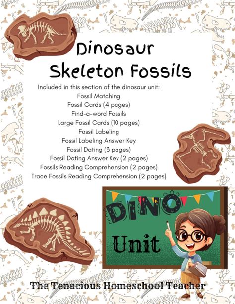 Dinosaur Fossil Activities Dino Fossils Learning Pages Prehistoric