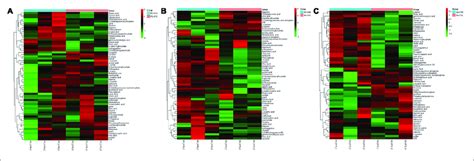 Hierarchical Clustering Analysis Of Detected Global Metabolites