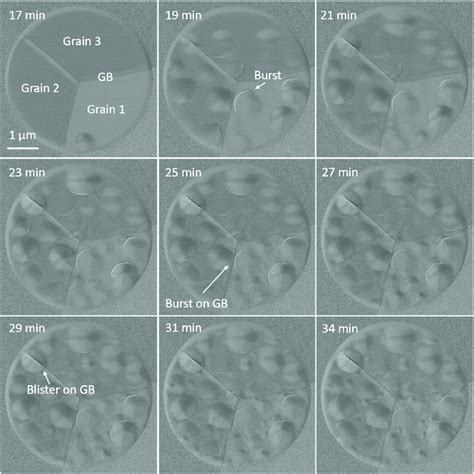 Dynamics Behavior Of Blister Growth Coalescence And Burst Of Cg W