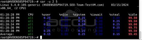 How To Install And Use Sar On Linux
